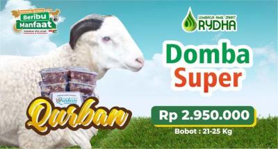 Qurban Domba atau Kambing Super - LAZ RYDHA
