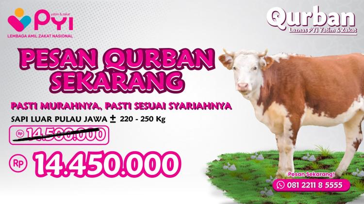 Qurban Sapi Luar Pulau Mandiri - Panti Yatim Indonesia